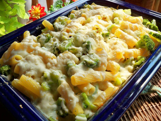 Cheesy Broccoli Rigatoni - Foodgasm Recipes